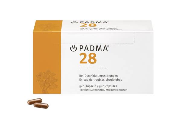 PADMA 28 KAPS 540 STK online einkaufen